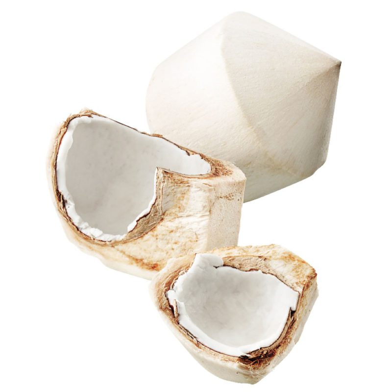 Young Coconut - COCO HITECH