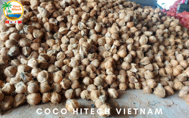 SEMI HUSK COCONUT - COCO HITECH