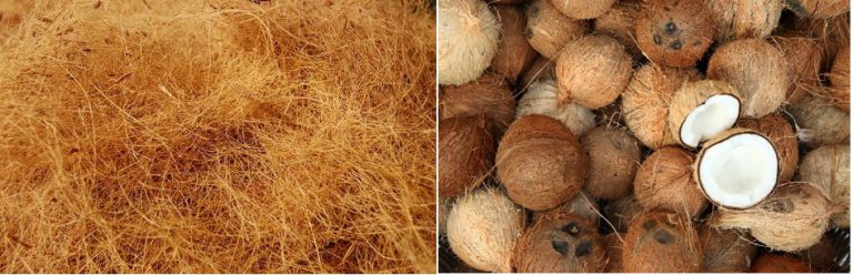 Four benefit of using natural coconut fiber matress - COCO HITECH