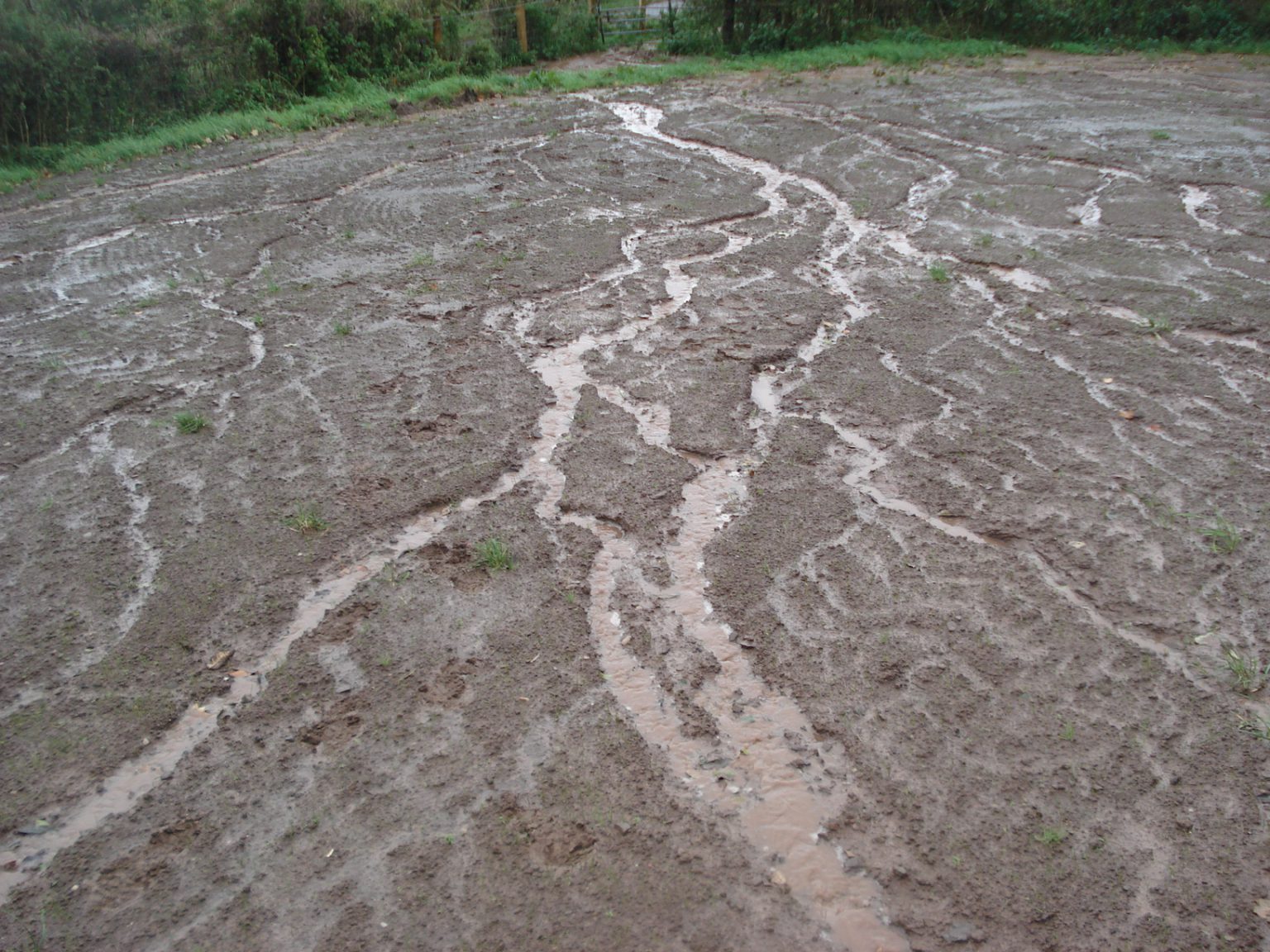 Soil erosion and how to prevent and reduce it biologically? - COCO HITECH