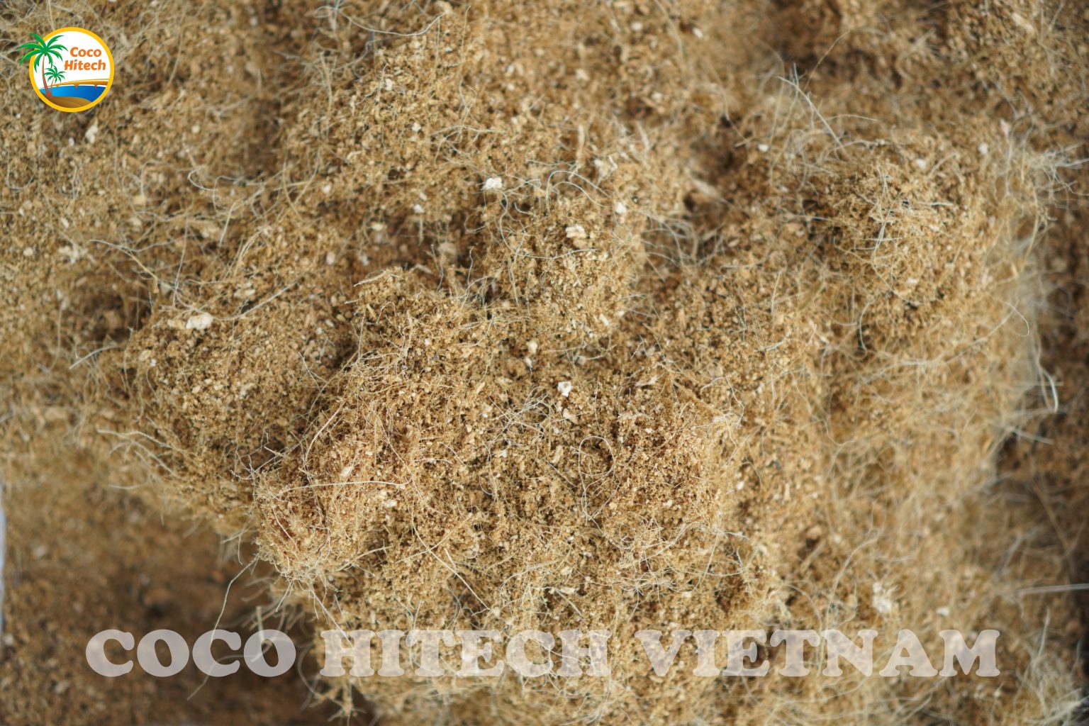 10 Amazing products made from coconut for export - COCO HITECH