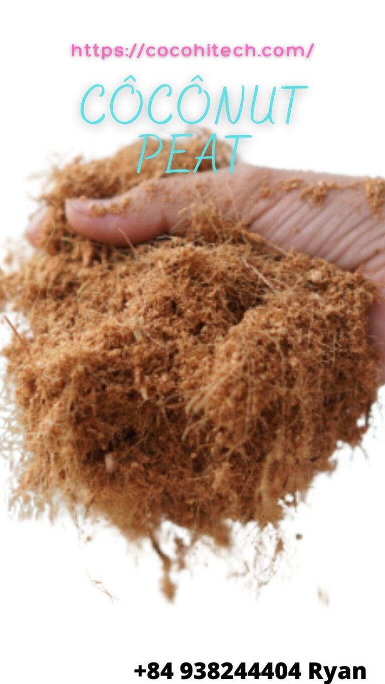 Coco peat for growing plants - COCO HITECH JSC - COCO HITECH