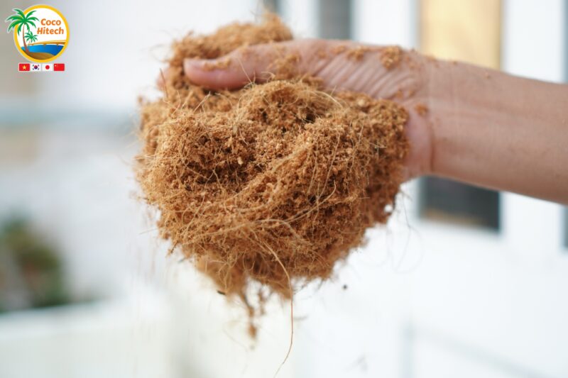 Coco peat and peat moss - COCO HITECH