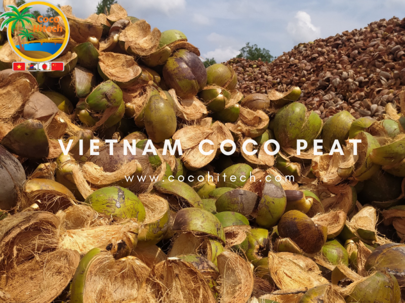 VIETNAM COCO PEAT PRODUCTION DURING COVID-19 - COCO HITECH