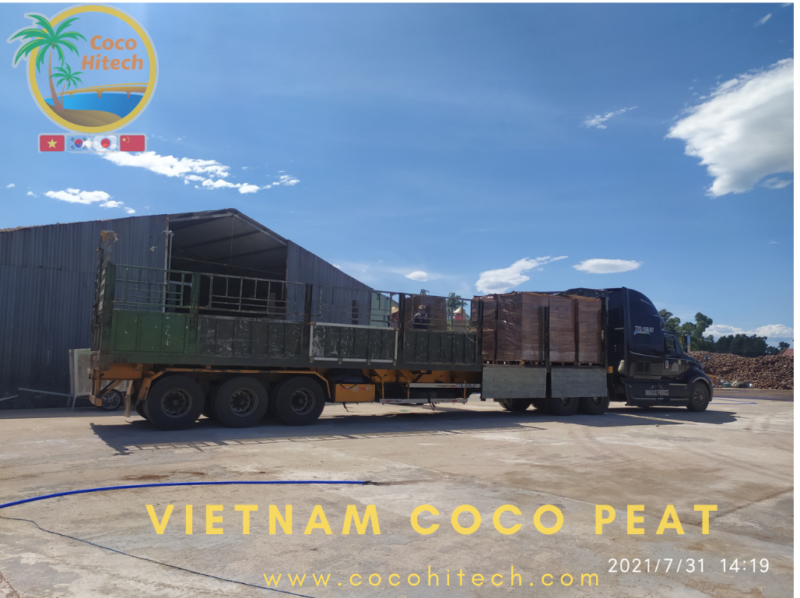 VIETNAM COCO PEAT PRODUCTION DURING COVID-19 - COCO HITECH