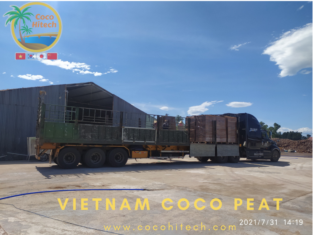 VIETNAM COCO PEAT PRODUCTION DURING COVID-19 - COCO HITECH
