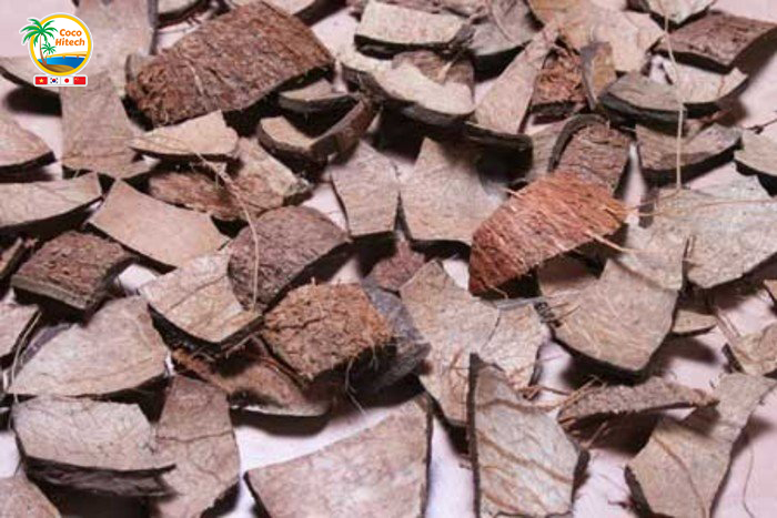 Coconut shell – The optimal alternative for fuel material - COCO HITECH