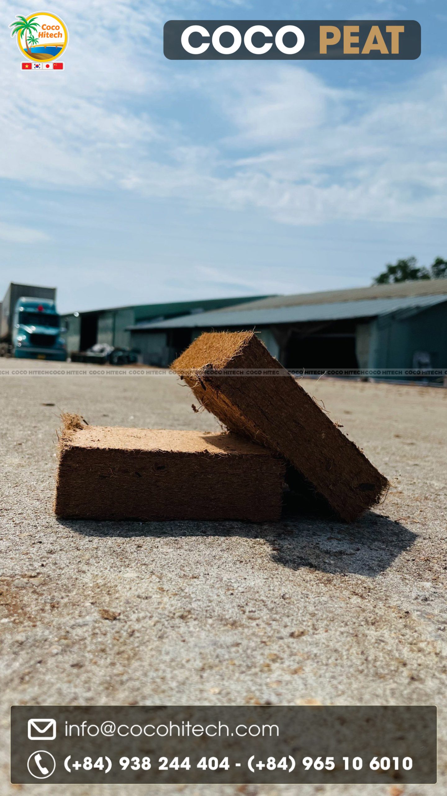 COCO PEAT USED FOR GROWING CANNABIS IN USA - COCO HITECH