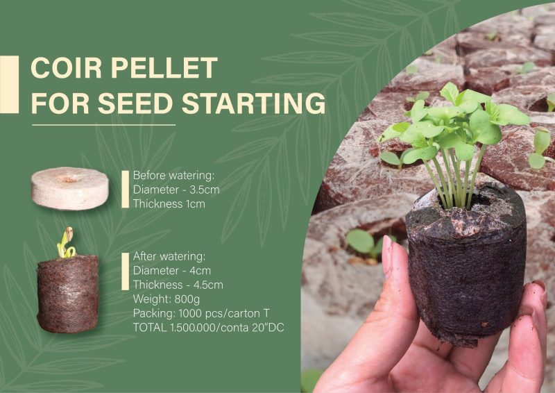 HOW TO USE COCO COIR PELLETS? - COCO HITECH
