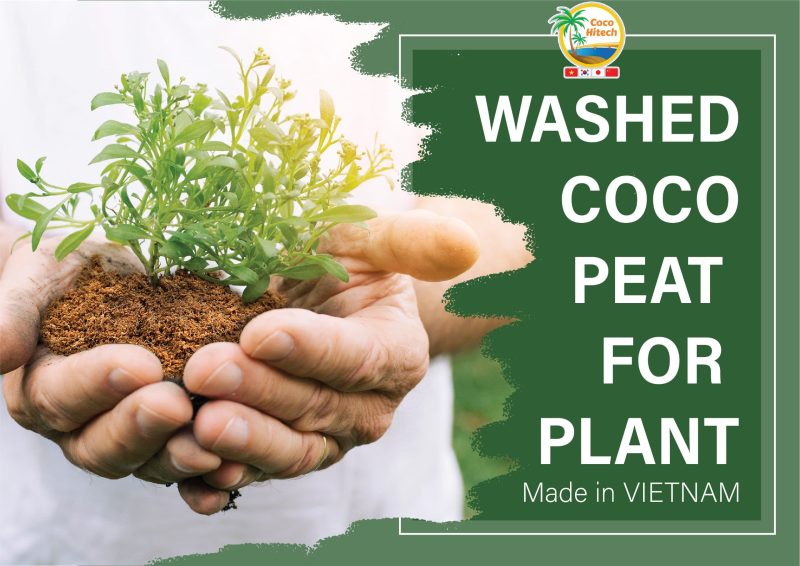 TOP KINDS OF COCO PEAT PRODUCTS USED FOR PLANTING - COCO HITECH