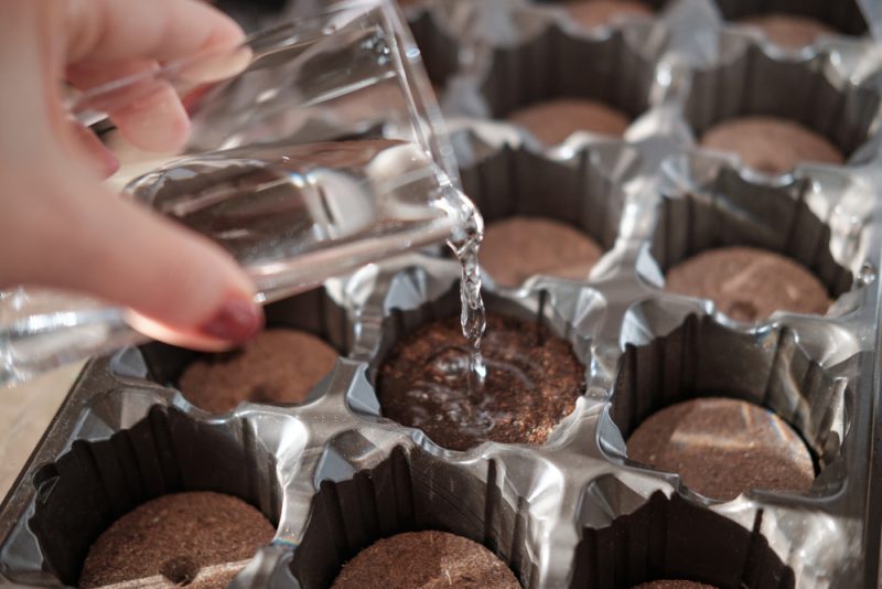 HOW TO USE COCO COIR PELLETS? - COCO HITECH