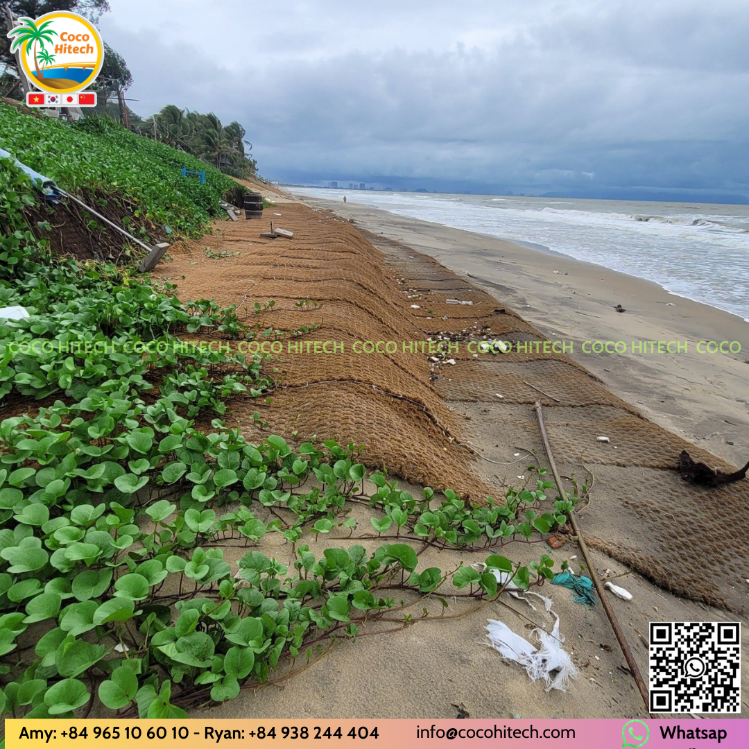 OUTDOOR COIR MAT FOR COASTAL EROSION CONTROL - COCO HITECH