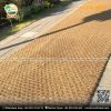 COIR MAT - COCO HITECH
