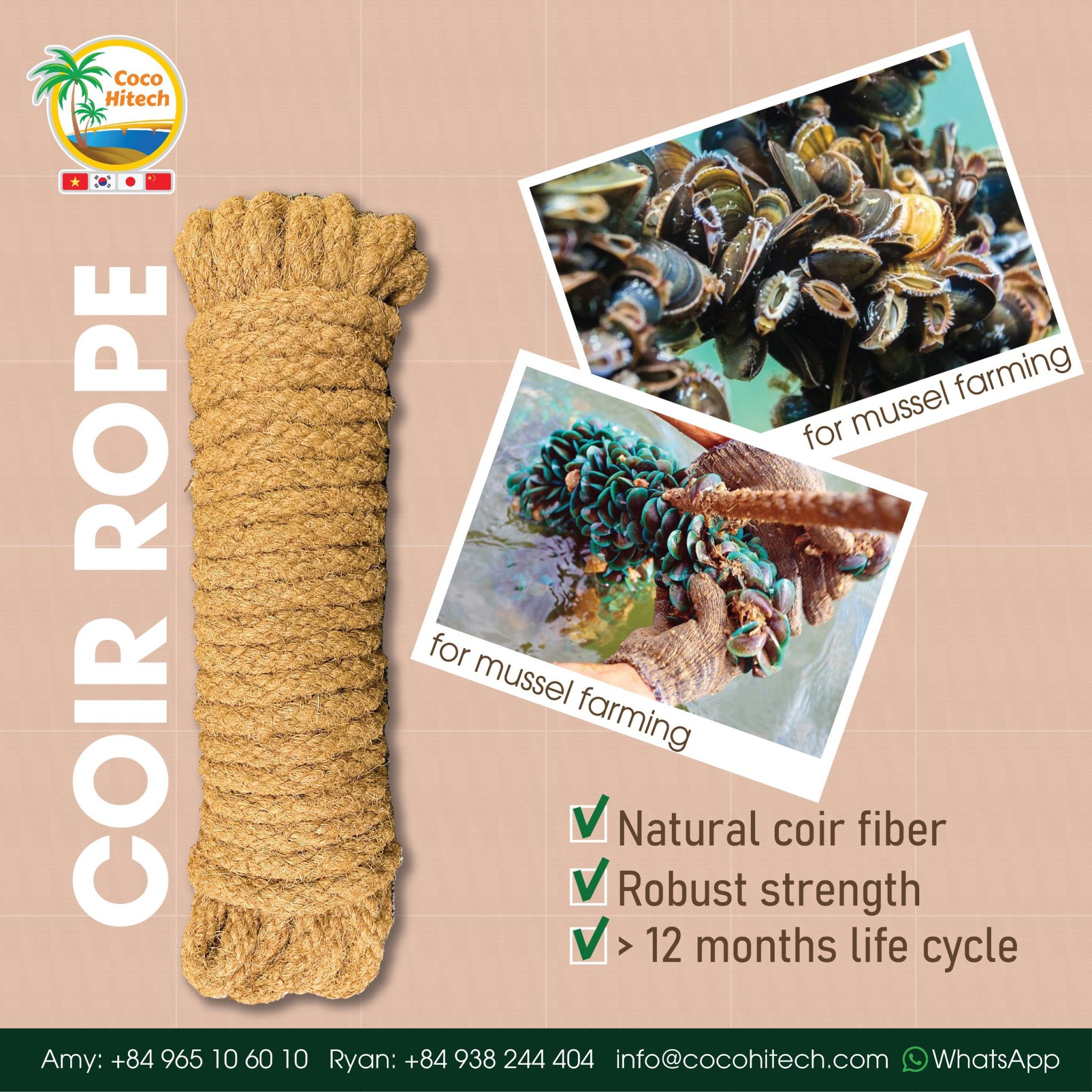 ADVANTAGES OF USING COIR ROPE FOR MUSSEL FARMING - COCO HITECH