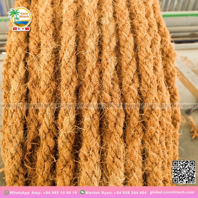 ADVANTAGES OF MUSSEL COIR ROPE FARMING - COCO HITECH