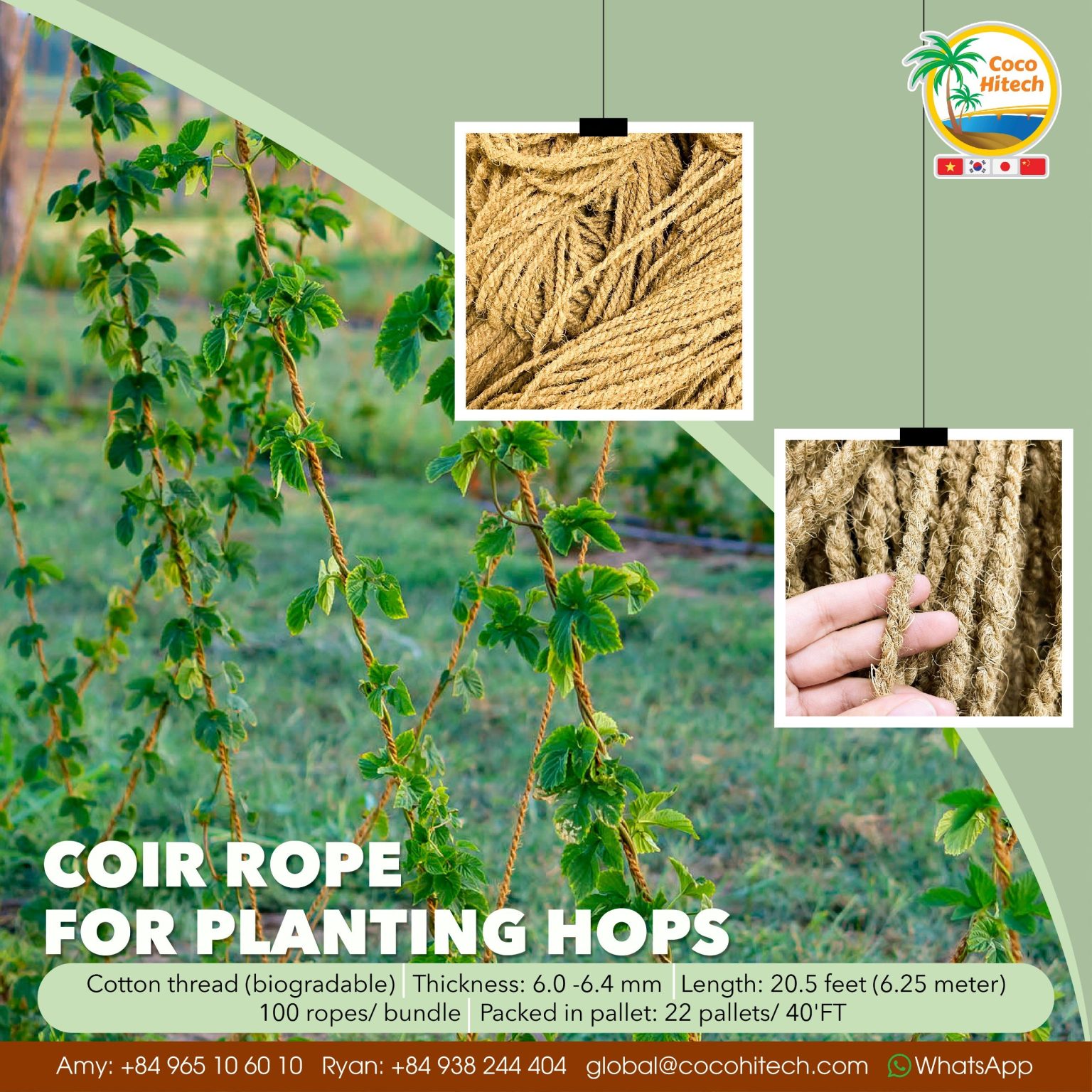 ADVANTAGES OF USING COIR ROPE FOR HOPS FARMING - COCO HITECH