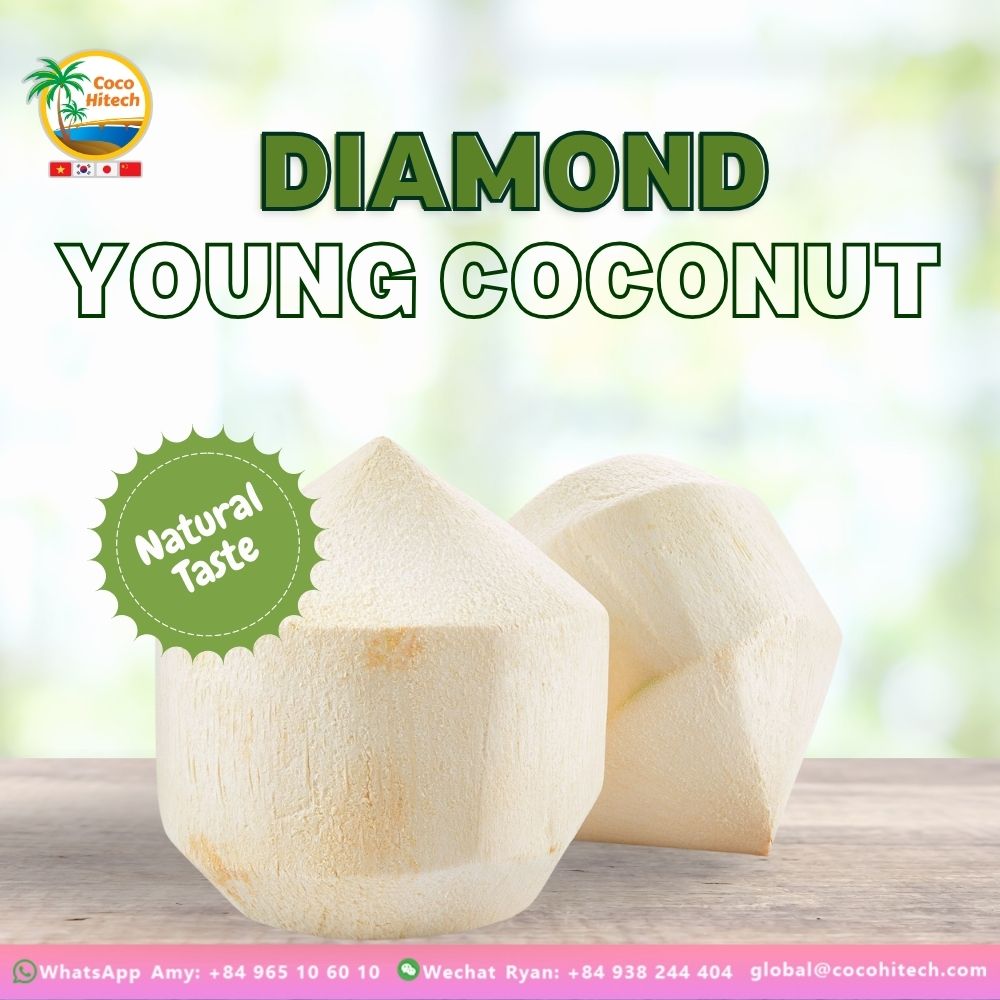 TOP KINDS OF YOUNG COCONUT MADE IN VIETNAM - COCO HITECH