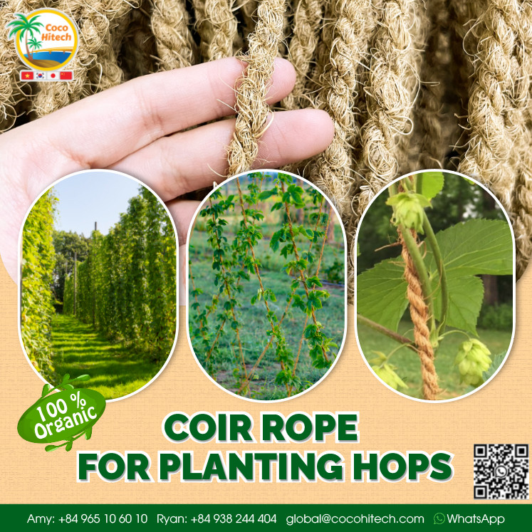 THE BEST COIR TWINE FOR HOPS FARM - COCO HITECH