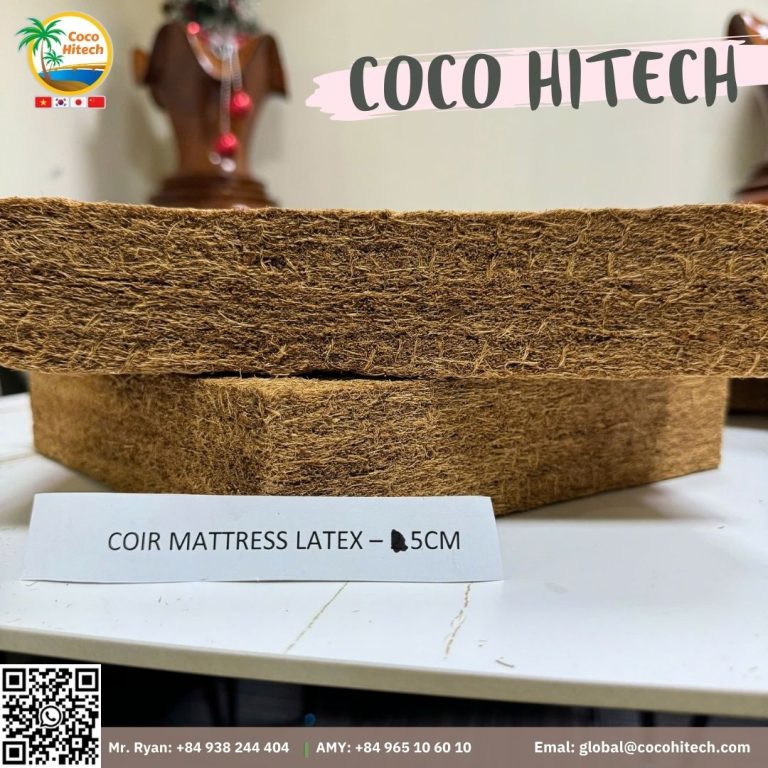 COCO HITECH VIETNAM | Coconut export centre of Vietnam