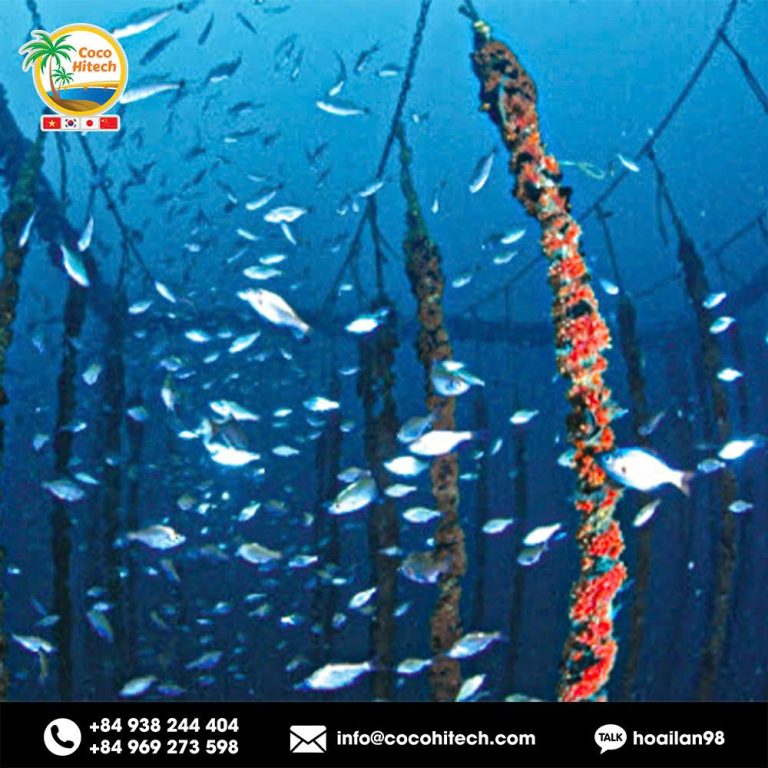 COCONUT COIR ROPE - COCO HITECH