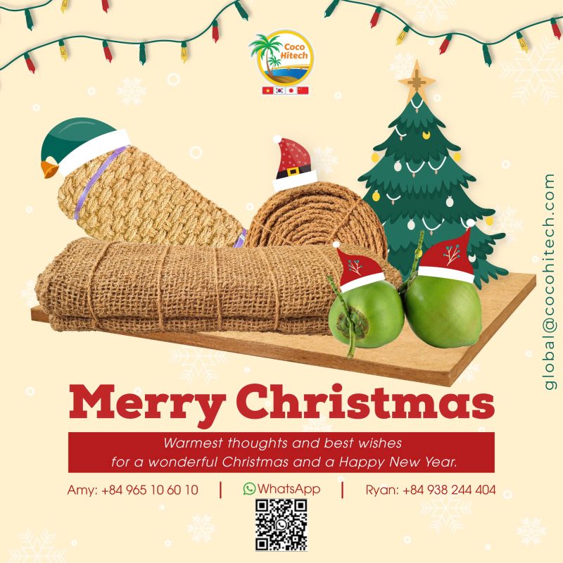 MERRY CHRISTMAS AND HAPPY NEW YEAR 2025 - COCO HITECH