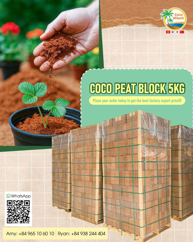 Coconut Peat Blocks - COCO HITECH