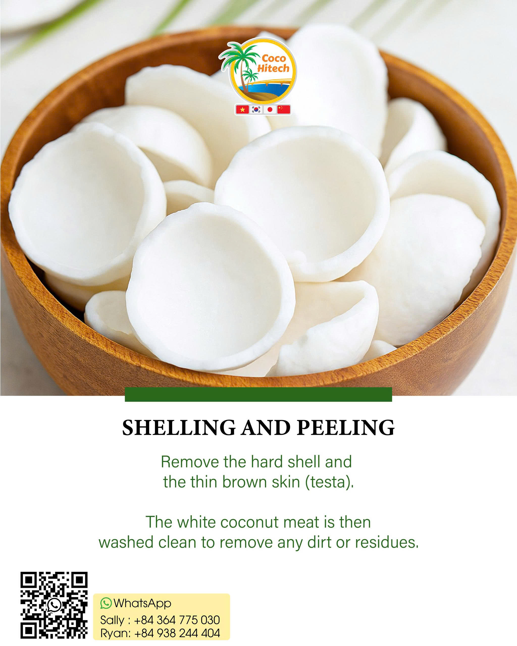 How to Make Shredded Coconut & Desiccated Coconut - COCO HITECH