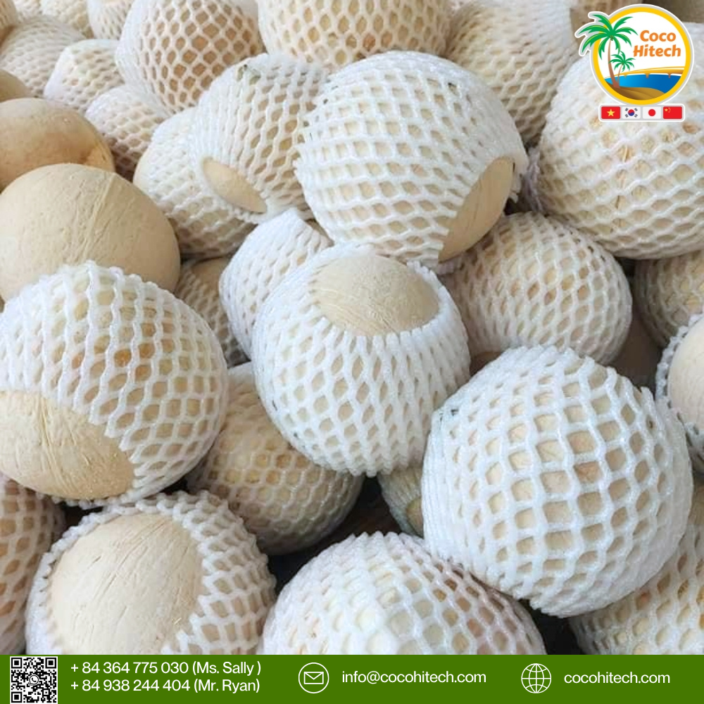 Four Export-Grade Young Coconut Styles from Vietnam’s Mekong Delta ...