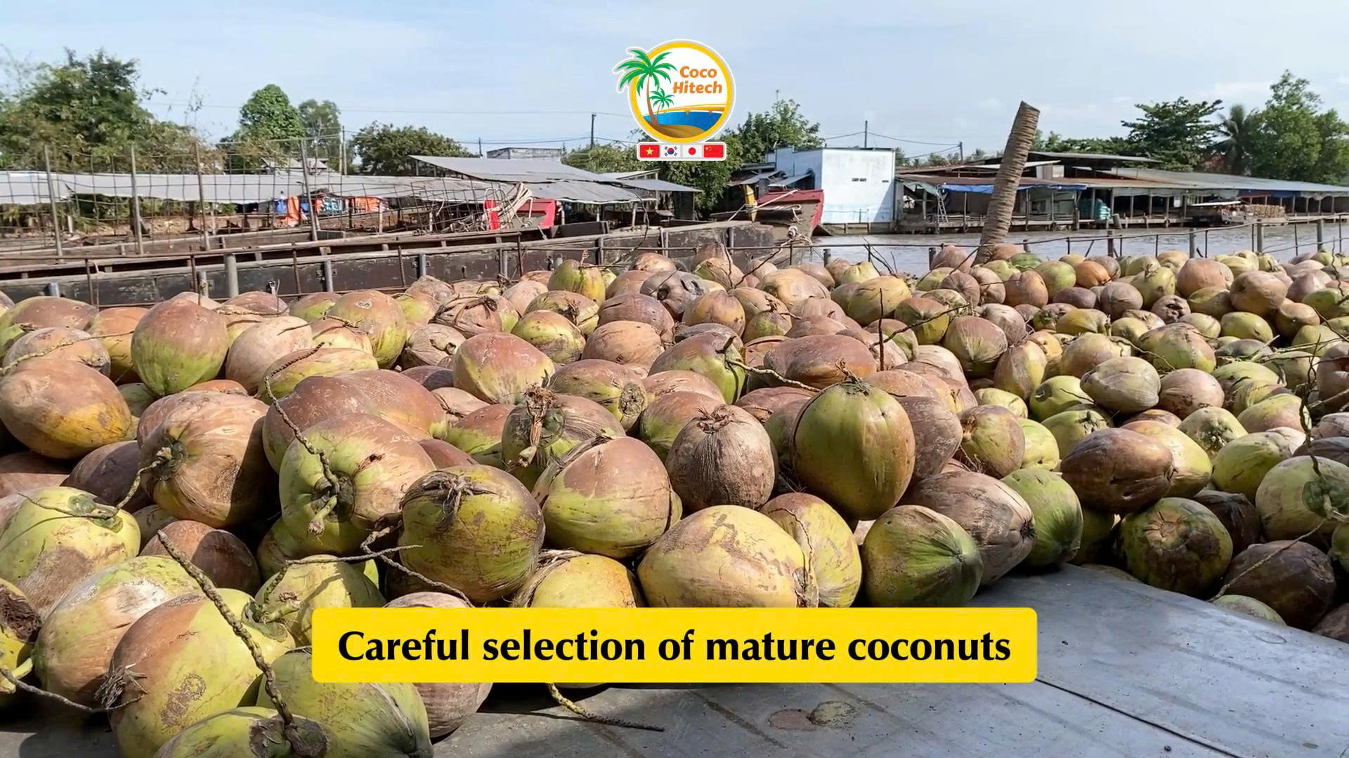 How Does Our Factory Work to Produce Desiccated Coconut? Trusted ...