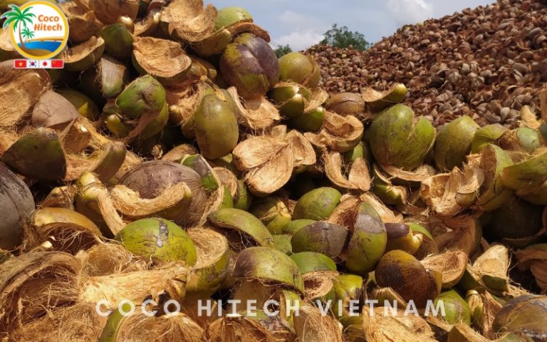 COCO PEAT BLOCK 5 KGS PRODUCTION - COCO HITECH