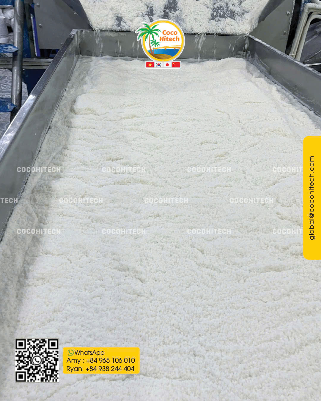 HIGH FAT DESICCATED COCONUT POWDER - COCO HITECH