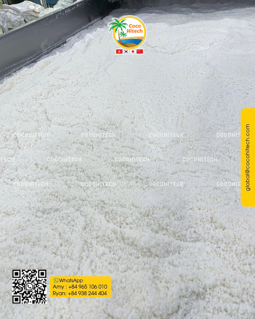 High-Fat Coconut Powder (Medium Grade) - COCO HITECH