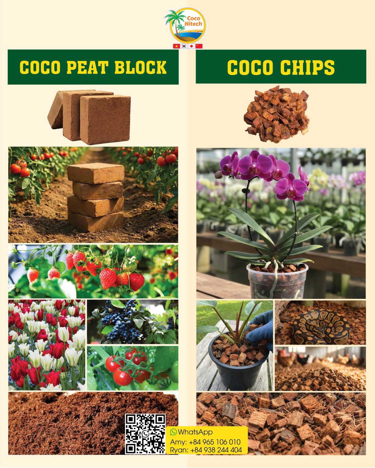 TOP AMAZING OF COCO COIR - COCO HITECH